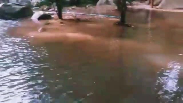 Где искупаться на Пангане в прохладной и пресной воде - водопад: Paradise Waterfall