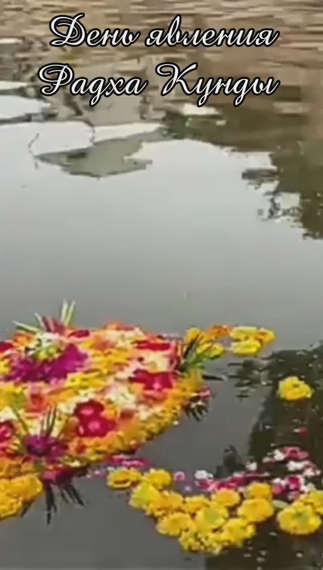 День явление Радха Кунды. 24 октября 2024. Священное озеро Радхарани и Кришны во Вриндаване.