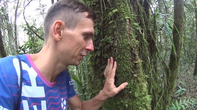 Влог: Бали. Бедугул: Ботанический сад. (часть 2)