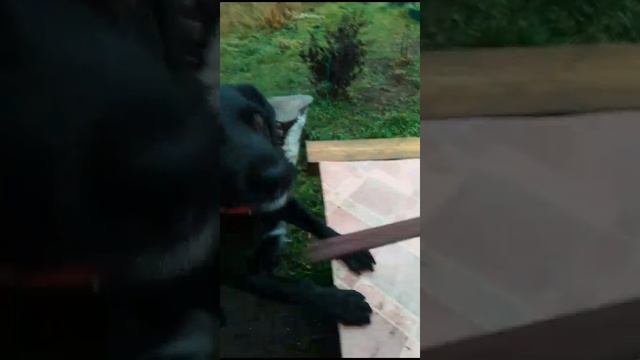 Колбаска от уныния