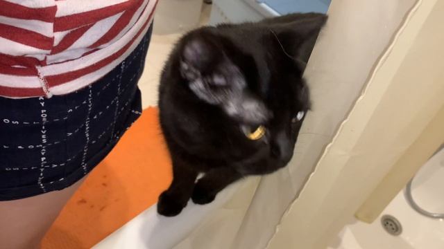 Мелкий подкидыш. Первое зкакомство с водой.