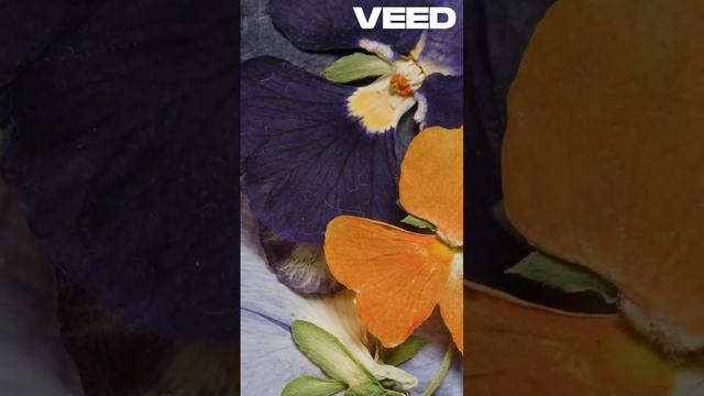 Пустырник - Успокоение и Здоровье Сердца! #пустырник #успокоение #здоровьесердца #народнаямедицина