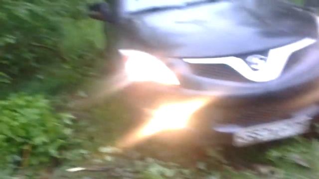 Раглицы, травка-водичка, Жыпчик