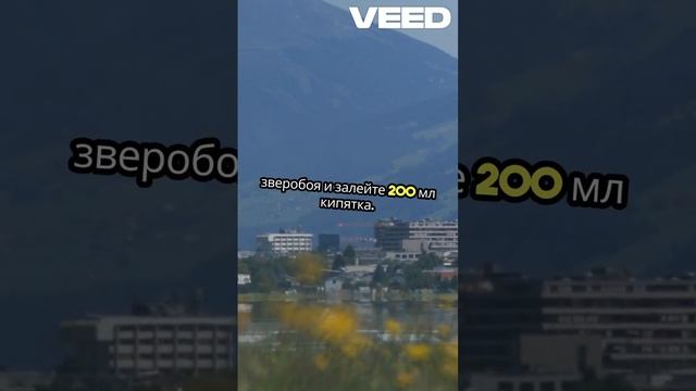 Зверобой- лечим депрессию и воспаления! #Зверобой #НатуральныеЛекарства #ПсихическоеЗдоровье