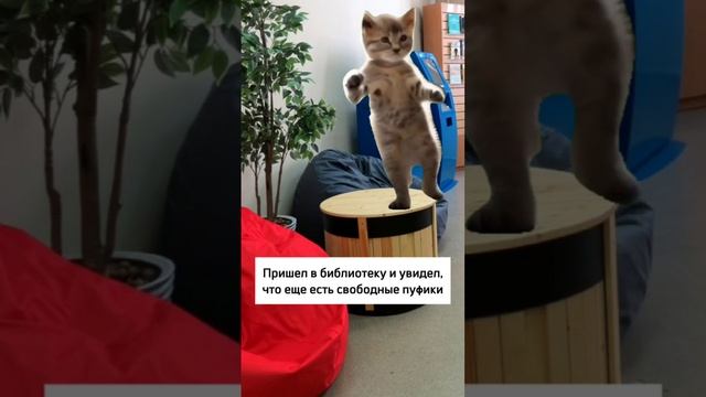 Ура, можно поспать!