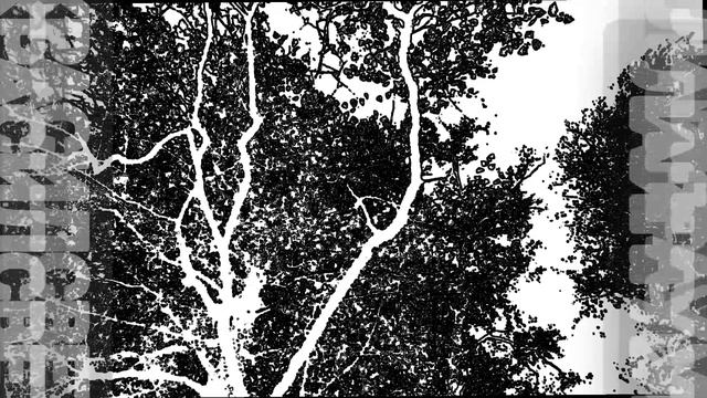 ЛАЙНРАУМ - КРАСИЛ СВЕТ (vol II)