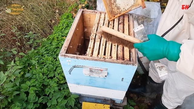 семья просела забираю корма настраиваю вентиляцию