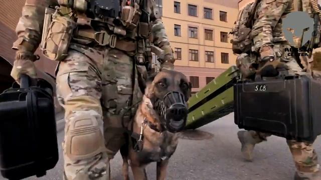 ЦСН ФСБ Управление К - Северные мотивы