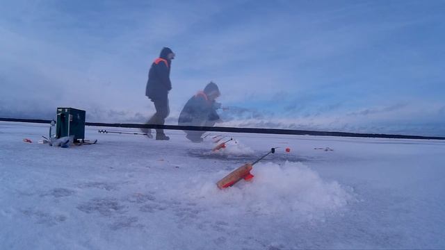 Зимняя рыбалка Ловля корюшки Финский залив
