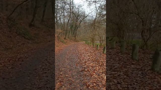 ЖИТЬ "ЗДЕСЬ И СЕЙЧАС" - что означает?