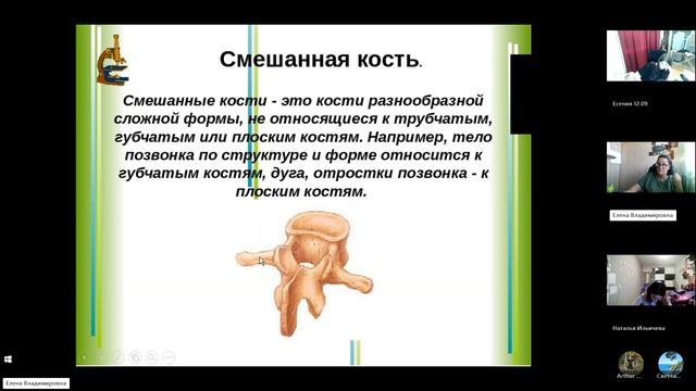 9 класс_8_25.10_Б_ОПС_Строение и состав кости