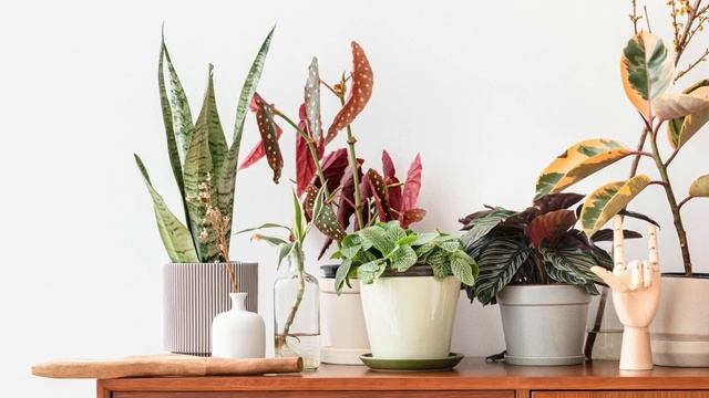 12 Вещей не должны быть в маленькой комнате