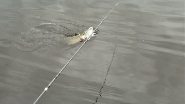 Шхеры 2021. Лето