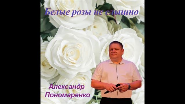 БЕЛЫЕ РОЗЫ НЕ СЛЫШНО