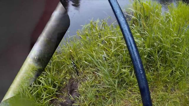 летняя рыбалка (местный пруд)