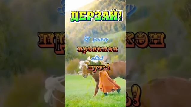 Живите счастливо! Мудрая песня, со смыслом.