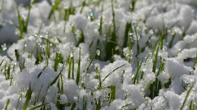 Артур Багинский - Апрельский Снег