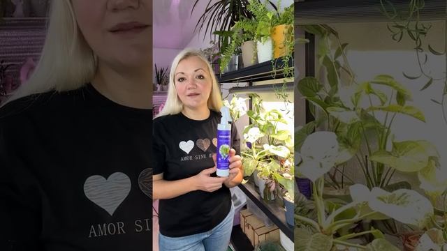 Витамины в форме спрея - это очень удобно.