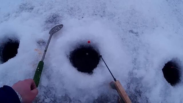 зимняя рыбалка сестрорецкий курорт  рыбы нет  "абсолютный ноль"