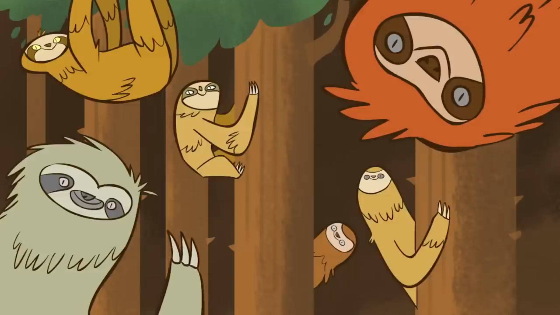 Кто питается листьями? Кто живет на верхушках деревьев? Ленивцы, почему они такие удивительные?