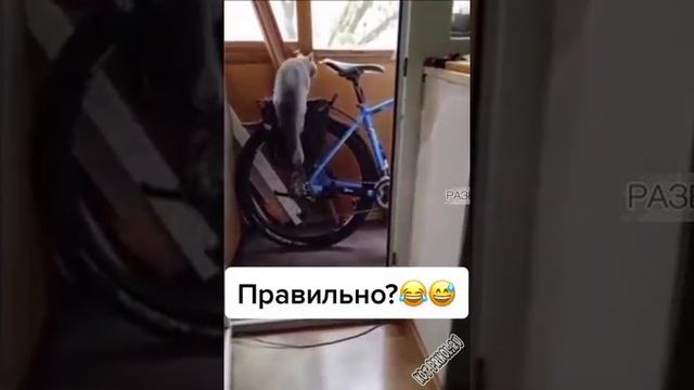 prituplenie-i-nakazanie