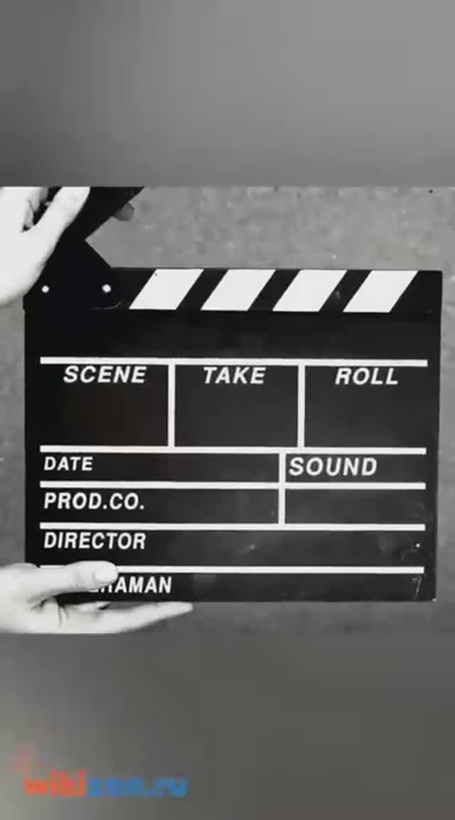 WIKIZOO – модули и стационары для животных! Модуль для ветеринарного стационара - верное решение!