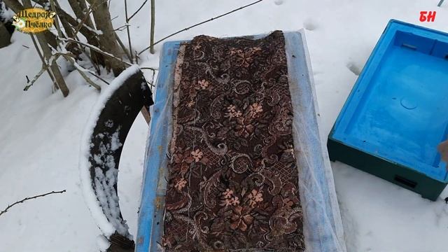 пчеловодство, зимовка пчел на канди, пасека зимой