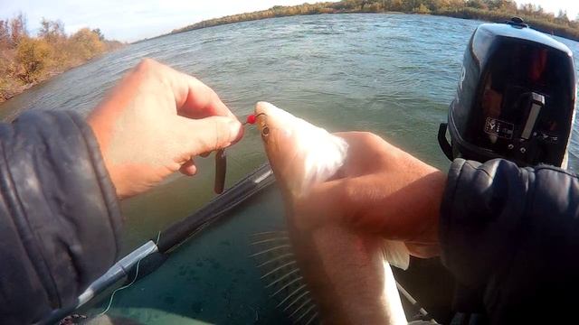 ловля судака на чёртик