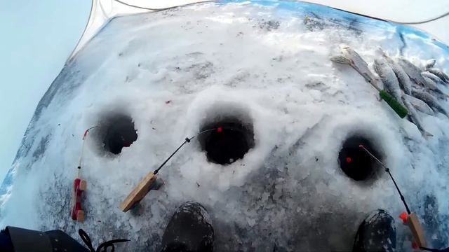 ЗИМНЯЯ РЫБАЛКА, ПЛОТВА, Сестрорецкий курорт