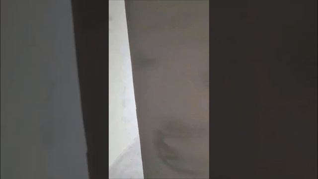 Обзор квартиры в кирпичном доме ЖК "Миниполис Город мечты", г. Пермь  #новостройка