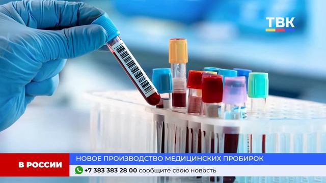 Программа "Дайджест" 25-10-24