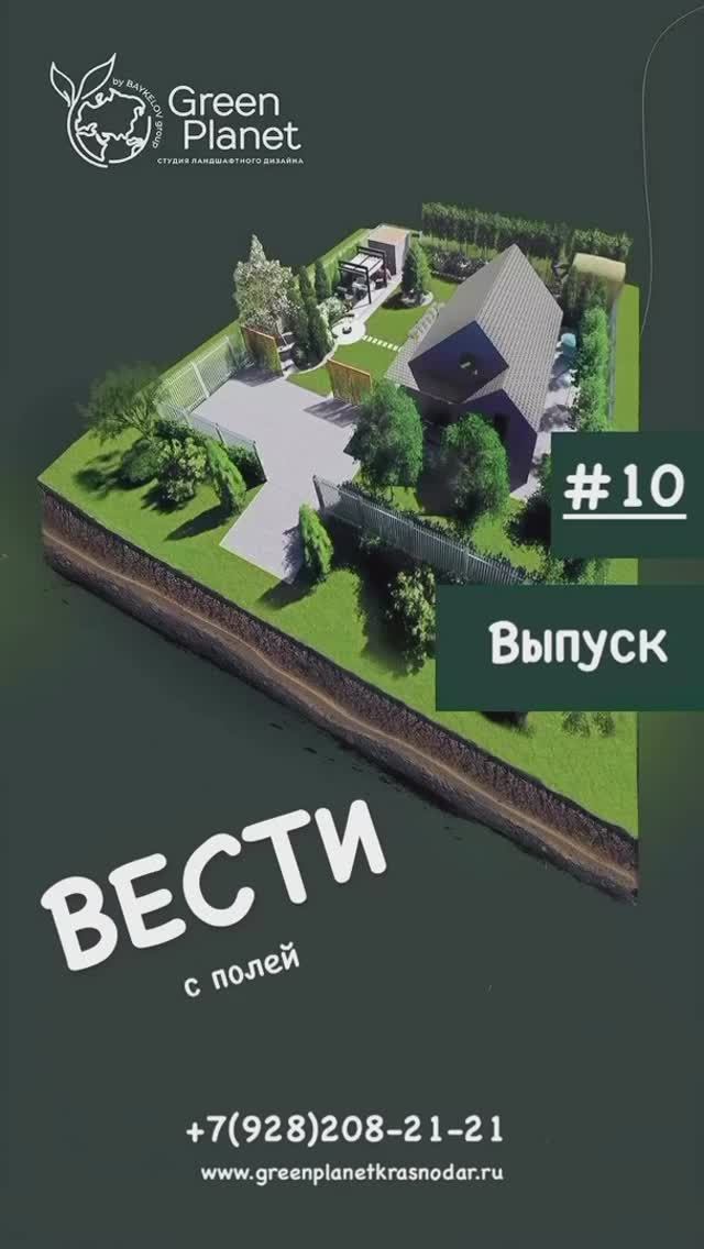 Рубрика «Вести с Полей». Выпуск #10.