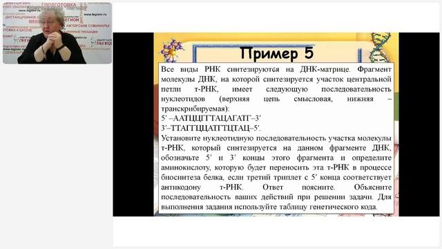 Задачи по молекулярной биологии в ЕГЭ: методические особенности и приёмы решения