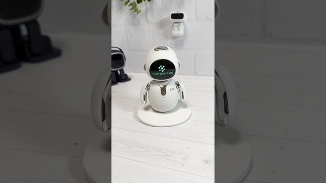 Распаковка серебряного Eilik / Silver Eilik