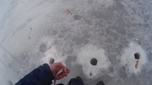 Зимняя рыбалка Ловля корюшки Рыбалка на Финском заливе