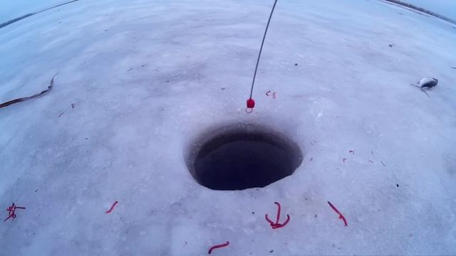 зимняя рыбалка, ловля на электронную удочку