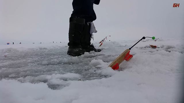 ЗИМНЯЯ РЫБАЛКА ФИНСКИЙ ЗАЛИВ ловля корюшки зимой на ВСЕ