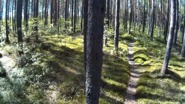 тихая охота дубль два наступил на те же грабли