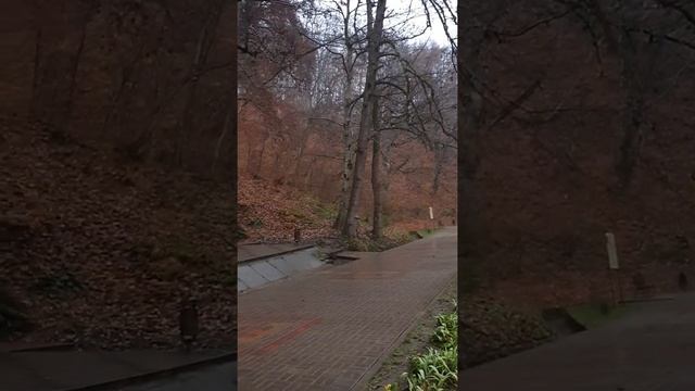 ПОЛЮБИТЬ СЕБЯ