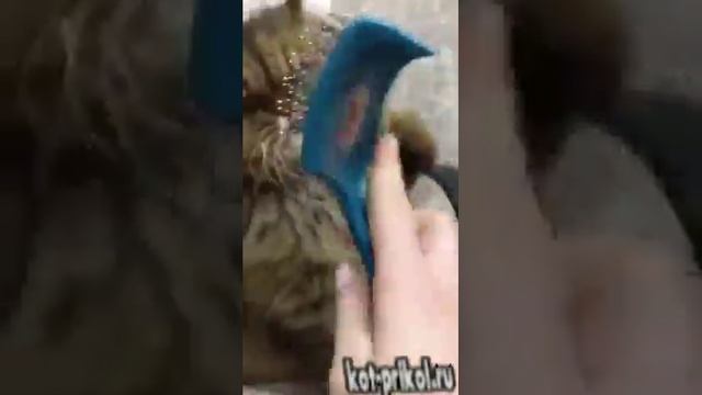 ne-nuzhny-mne-druzja