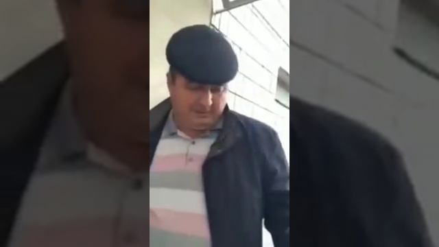 собачка и медведь