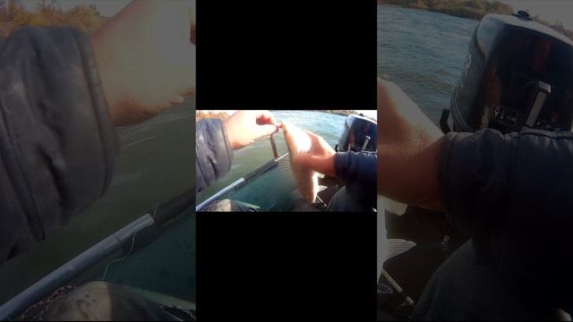 ловля судака на чёртик