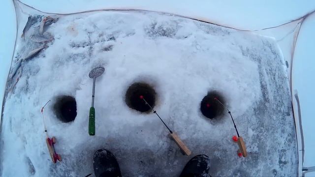 зимняя рыбалка, ловля плотвы, сестрорецкий курорт