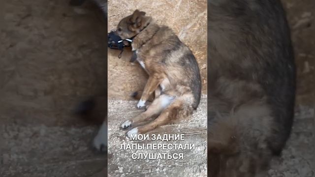 Это последние месяцы Марты