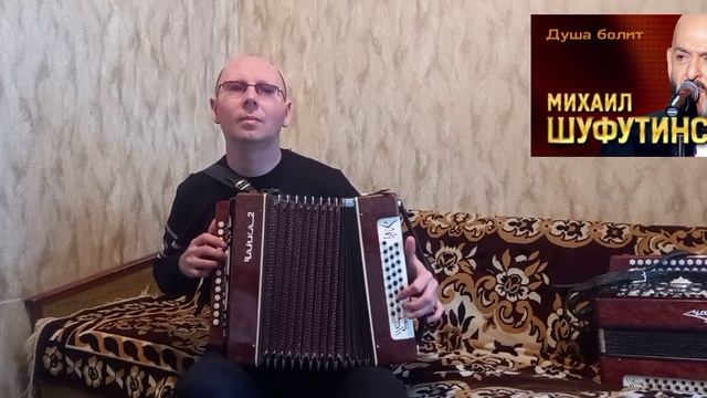 "Душа болит".(Кавер-версия).Гармонь.