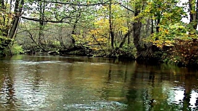 Зарисовки 3 Октябрьские краски