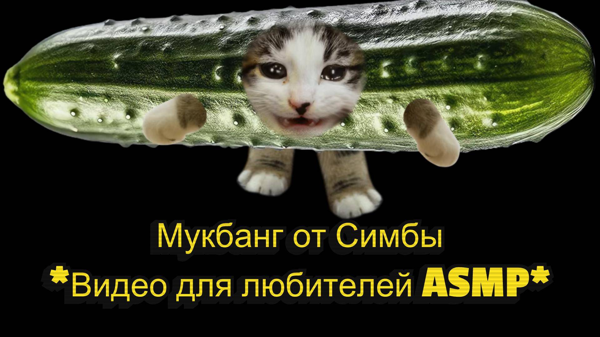 Мукбанг от Симбы.  Видео для любителей ASMP