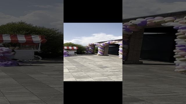 Живая лама на детский день рождения