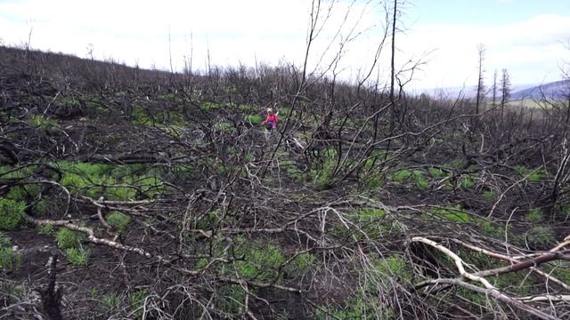 Лаборатория петрологии, геохимии и рудогенеза. Поле-2017