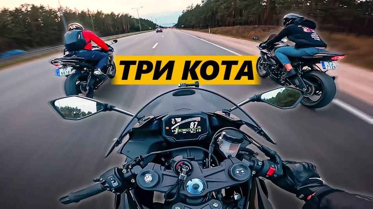 Три кота. Шестисотки от Кавасаки